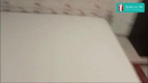 Отзыв на товар: Кровать тахта Вея-М