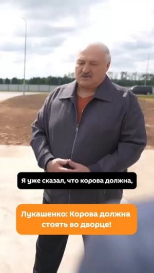 Лукашенко: Корова должна стоять во дворце!