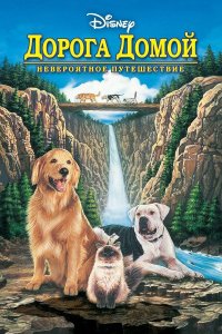 Дорога домой: Невероятное путешествие (фильм, 1993)