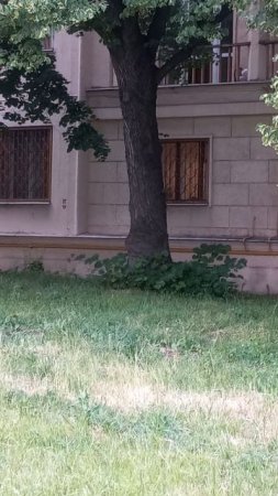 Закопанные города. закопанная Москва.