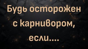 Будь осторожен с карнивором, если....