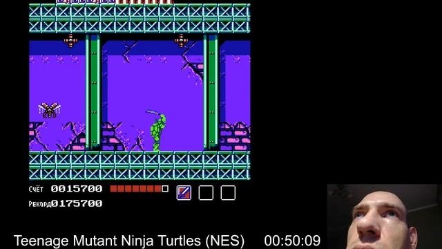 Teenage Mutant Ninja Turtles (NES). Прохождение. Завалено 3
