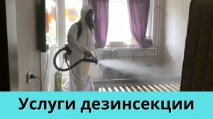 Дезинсекция: уничтожение клопов, тараканов и других насекомых
