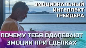 Почему трейдеров одолевают эмоции во время торговли?