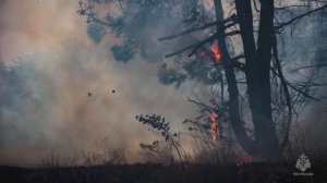 Огонь уничтожил более гектара растительности в Севастополе