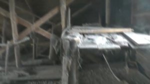 На голубятне весной 2025 год