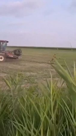 Ну, погоди!!! По украйнски 😁 ТЦКшник убегает