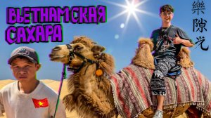 Разоблачение Вьетнамской мафии. Покоряем пустыню и катаемся на страусе.  Муине 2025 стоит ли ехать?