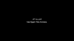 Сура Аль-Бакара 115-117 аяты. Мухаммад люхайдан 1424г.
