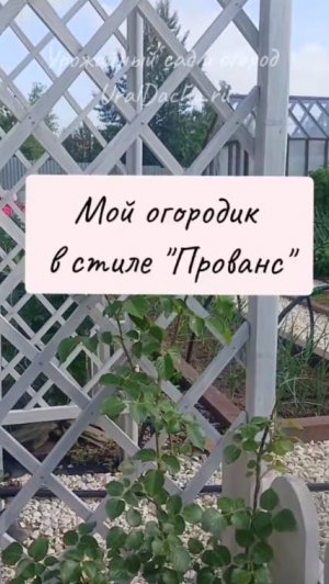 Огород в стиле "Прованс"