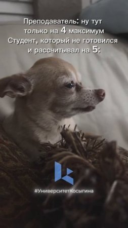 За красивые глазки тут 5 не получишь, даже если хочется 😉