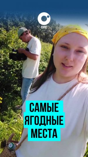 Съемочная группа ОТС на ягодных плантациях
