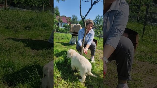 Артурка VID_20250614_125342