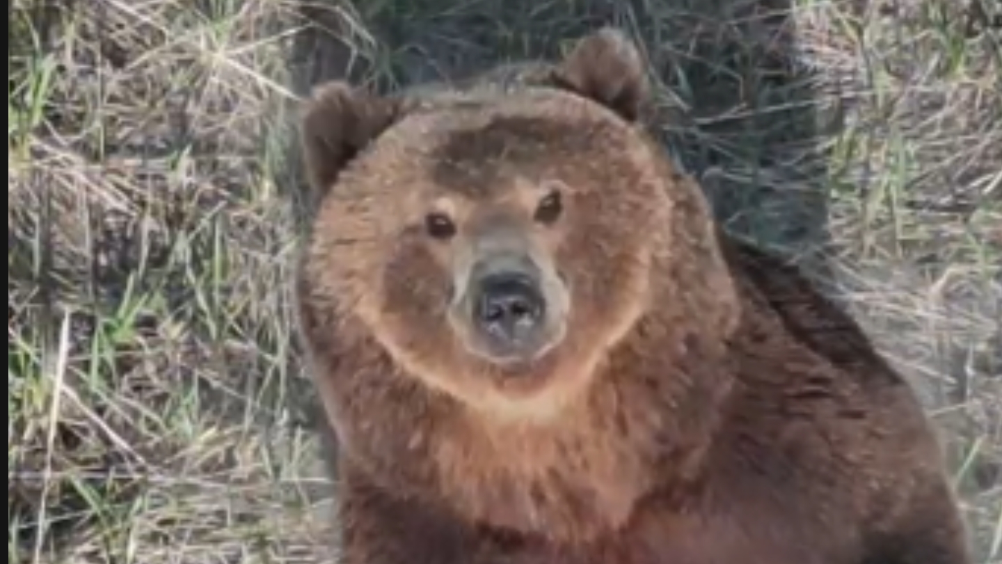 места тут безлюдные...