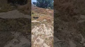 Построим дом даже на скале