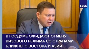В Госдуме ожидают отмену визового режима со странами Ближнего Востока и Азии