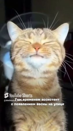 Весенний вайб и стоматологический драйв