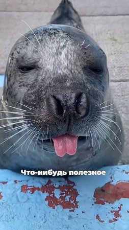 #гаджеты #детииродители #мем #юмор #smartphone #memes #смешно #дети #каникулы #родителиидети #москва
