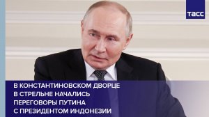 В Константиновском дворце в Стрельне начались переговоры Путина с президентом Индонезии