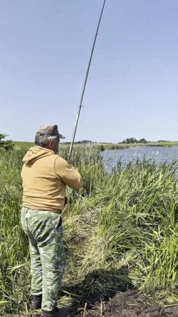 Лето 🌞 Рыбалка 🎣 Природа 🏕️🦅🦢 #рыбалка #лето #природа  #fishing #nature