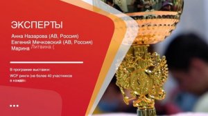 Международная выставка кошек «РосКош в октябре» состоится 9-10 октября. Поиграем в «КотЛото»!