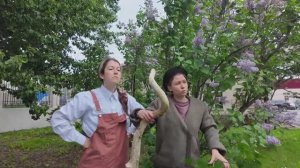 Видеообзор на мультфильм "Три богатыря. Ни дня без подвига 2" (реж. Екатерина Салабай)