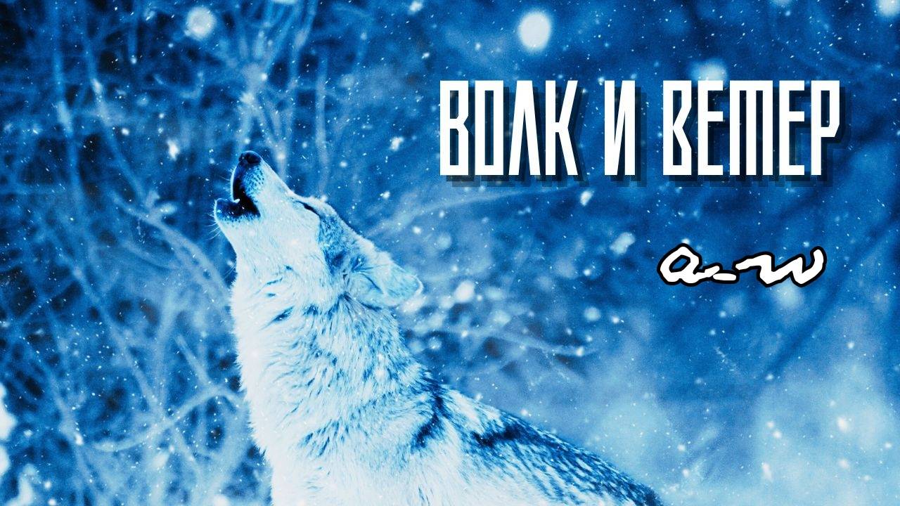 аНДРЕЙ жАБИН - Волк и ветер