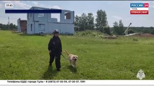 В Тульской области проходят испытания 25 кинологических расчетов со всей страны