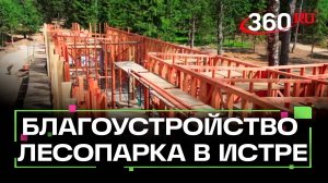 Благоустройство лесопарка Соколка в Истре закончат осенью