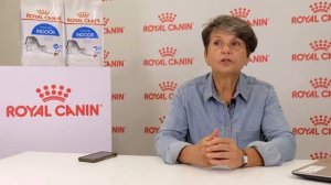 Генетика породообразующих аномалий: бобтейлы, манксы, манчкины.