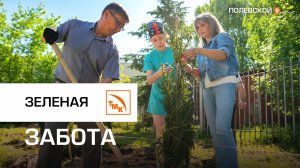 Сотрудники СТЗ вместе с детьми высадили ели на пришкольном участке
