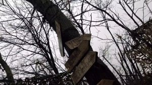 Бойцы казачьей разведывательной бригады «Терек»