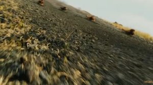 Вождь войны (2025) . Боевик , драма , история . США . Трейлер сериала