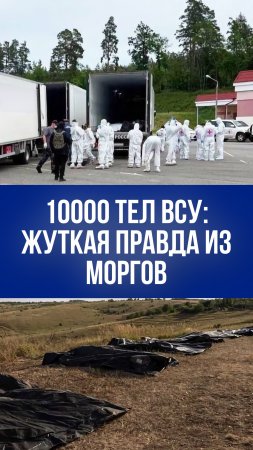 Морги Ростова и Курска: 10000 тел ВСУ ждут отправки – что происходит?