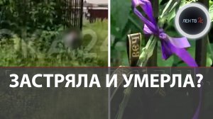 Засунула голову между прутьями забора, не смогла выбраться и погибла?