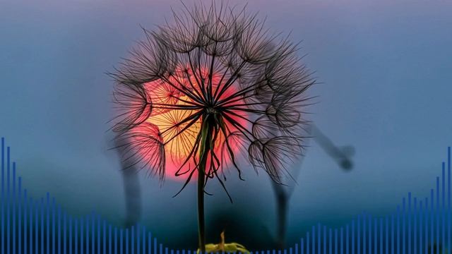 Księga Przysłów Slow Blues, Delta Blues