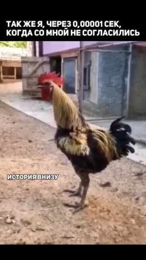 Принятие наше все