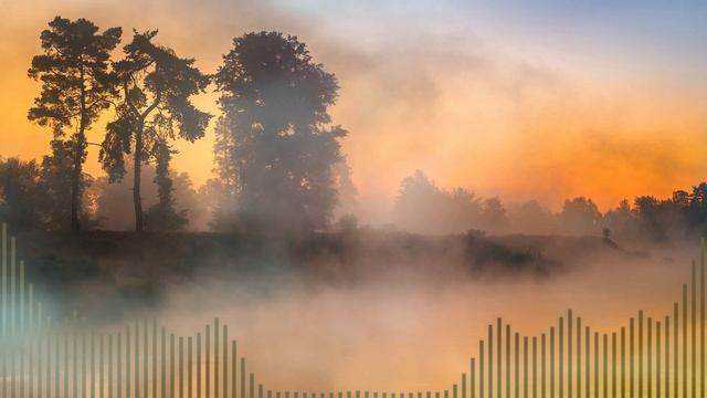 Blues #blues #music #bluesballads