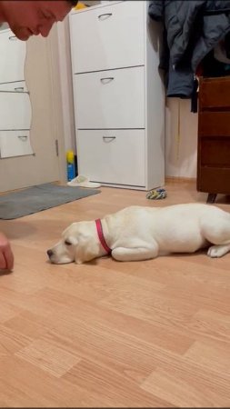 Занятия с пелёнок