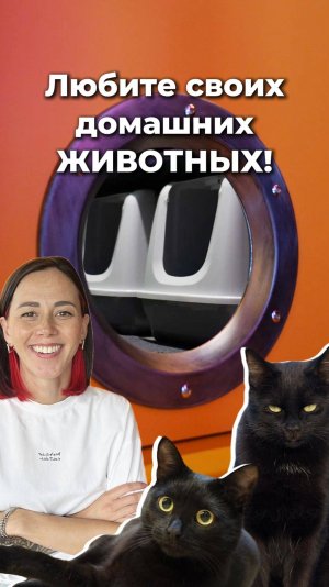 Когда любишь своих КОТИКОВ😽 #дизайнинтерьера
