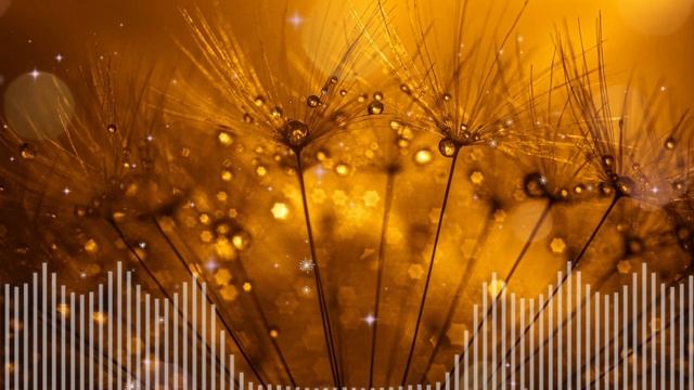 Classic Blues this is good blues Classic Blues  #guitar #blues  #bluesballads #guitarsongscover