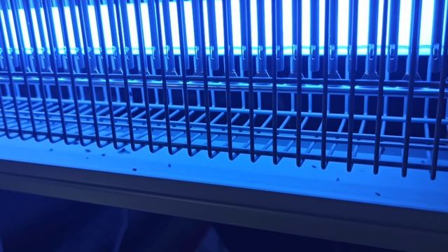 Отзыв Лампа от комаров и насекомых AIRHOT IKE-30W 100м2