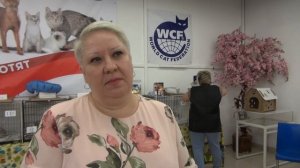 Кубок текстильного края