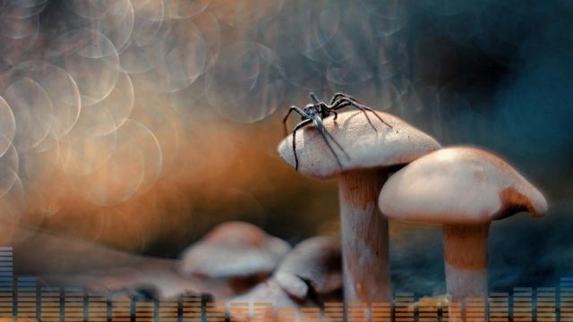 BLUES Jest złe, którem widział pod słońcem