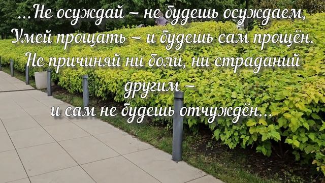 Цитаты про смысл жизни.