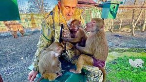 КЛАСС! Люся, Степа, Тося и Маня пришли на прогулку в вольер и ОБЛЕПИЛИ ПАПУ Влада