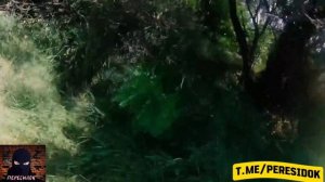 Накат ВСУ пошёл не по плану
