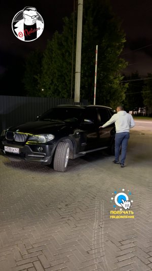 У ласточки новый опекун. в добрый путь