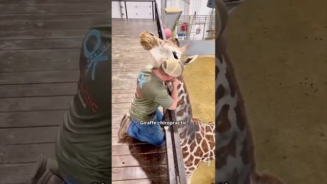 Относитес друг другу вот так, и будет всё прекрасно в вашей жизни.