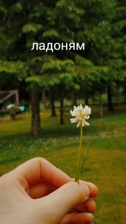 Пить хочу...